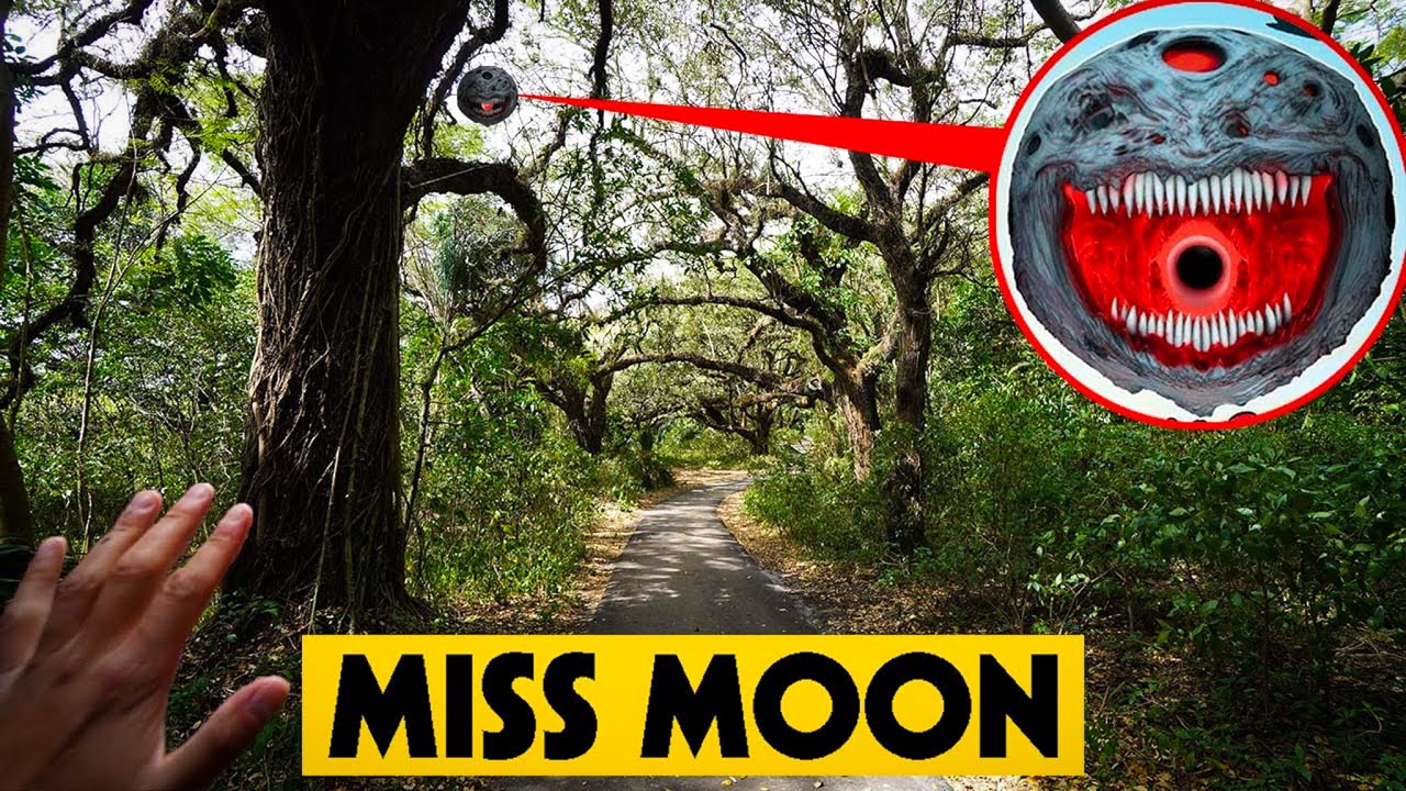 IF YOU SEE HORROR MISS MOON SPRUNKI IN THE SPRUNKI FOREST, RUN!! - YouTube