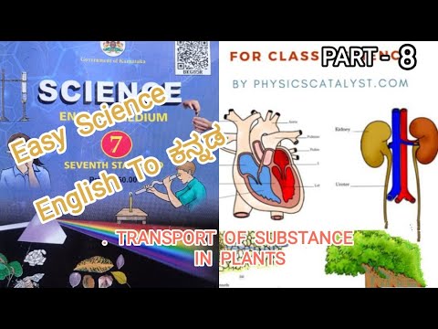 7th Class Science 7th Lesson TRANSPORTATION IN ANIMALS AND PLANTS part ...
