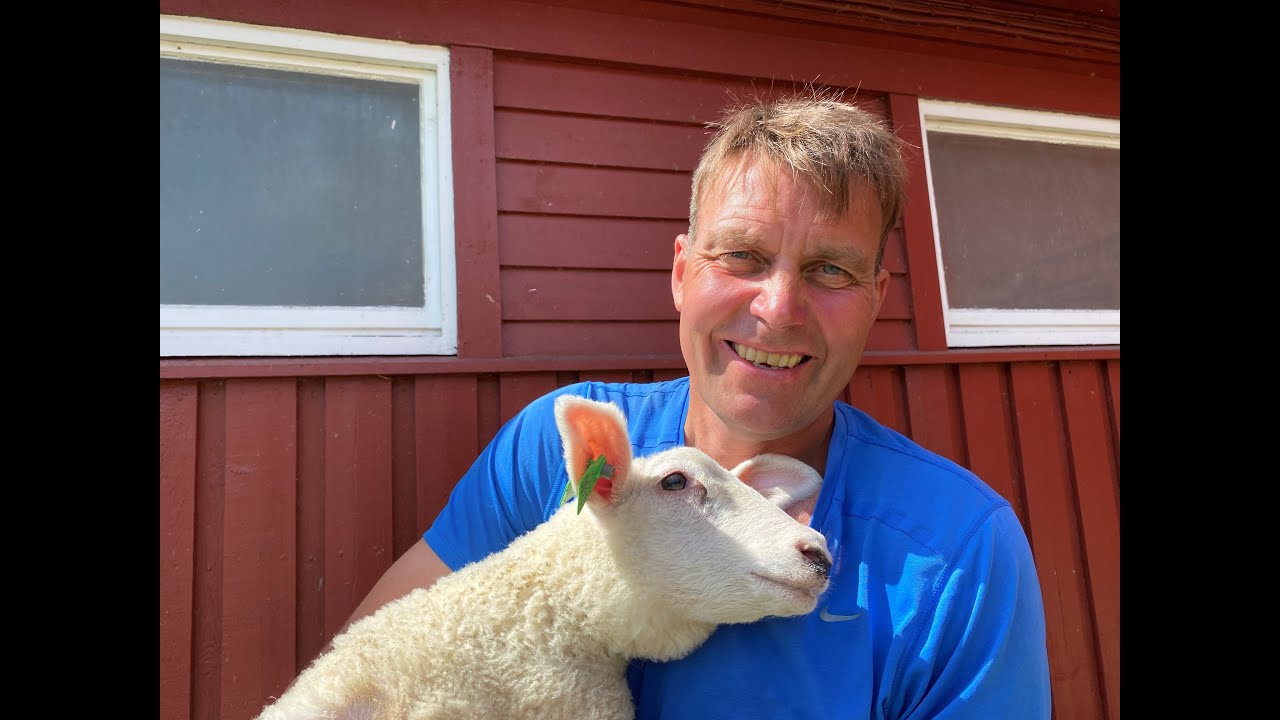 Fylkesmannen i Innlandet - Inspirasjonskorpset. Presentasjon av ...