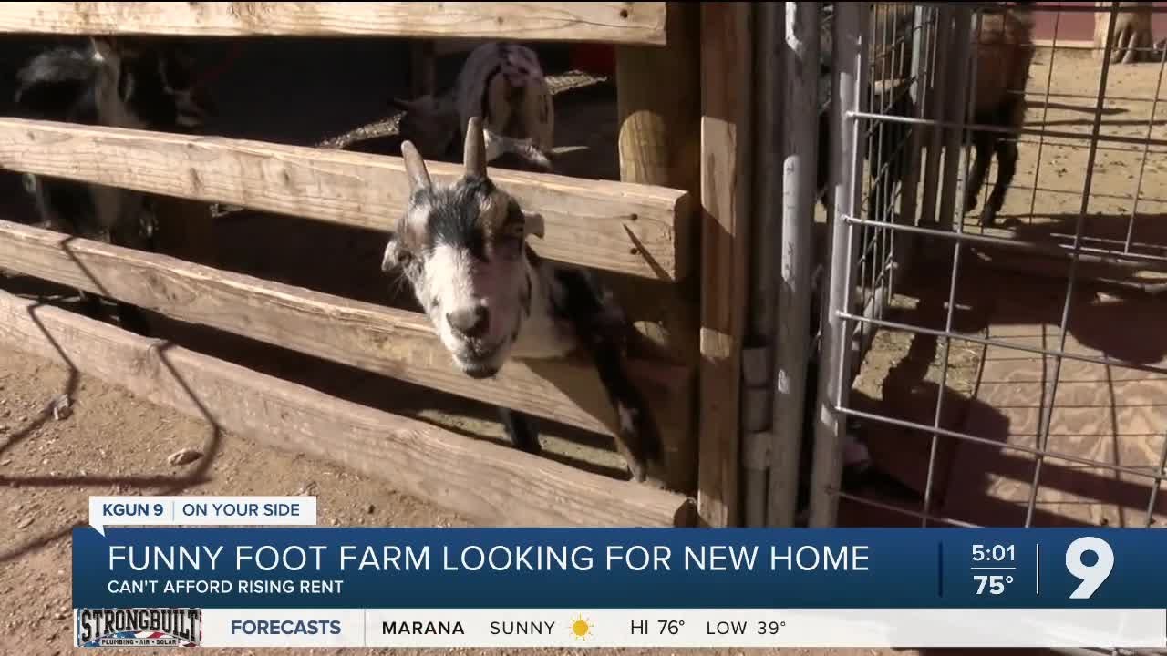 Funny Foot Farm looking for new home - YouTube