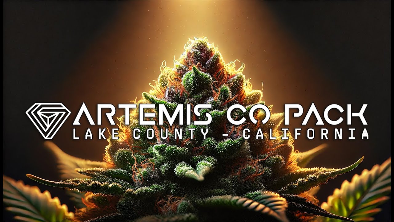 Artemis Co-Pack: A Lifeline for Northern California’s Small Cannabis Farmers - YouTube