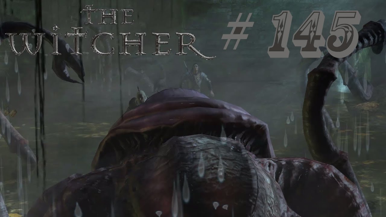 Let's Play The Witcher # 145 [Deutsch] [HD]: Der ekelhafte Zeugl ...