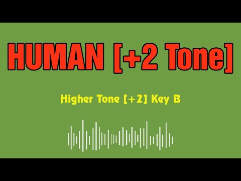 Rag'n'Bone Man Human Karaoke 12 tones _ Higher tone +2 _ Key B