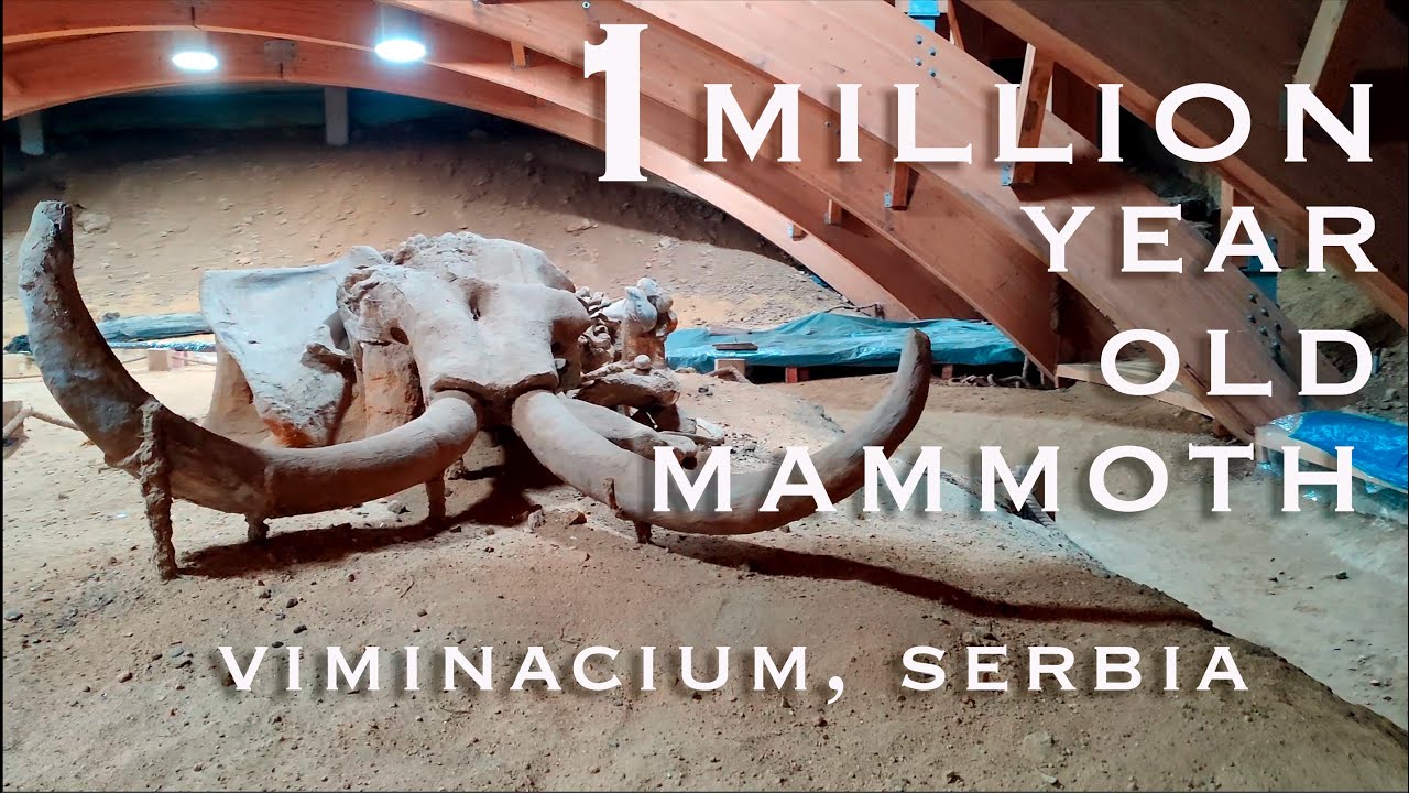 Visiting the Archaeological Park Viminacium in Serbia | English tour ...