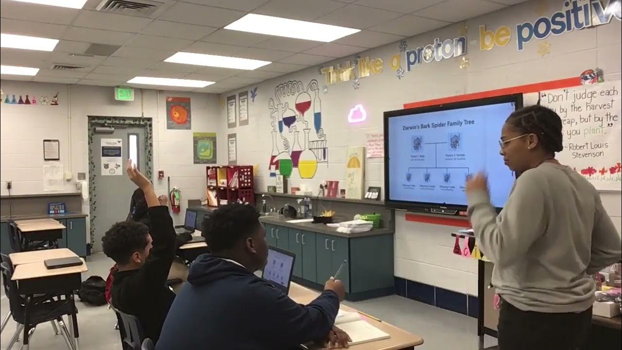 Amplify Traits and Reproduction - YouTube