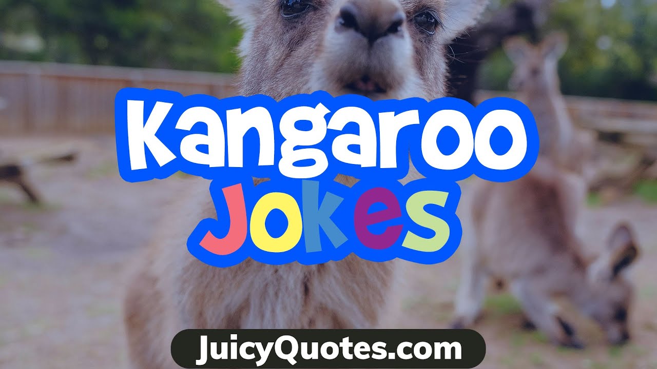 Funny Kangaroo Jokes and Puns - These will Entertain You and Make You ...