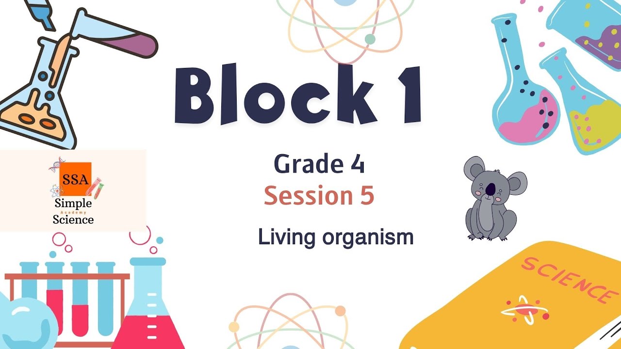 Science |Block 1|NEIS|Grade 4| session 5 - YouTube