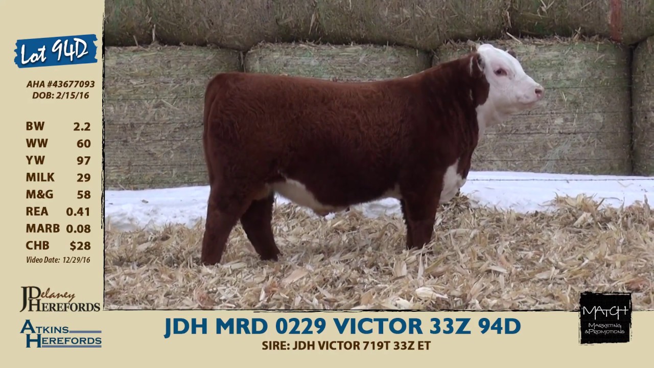 2017 DELANEY/ATKINS - LOT 94D - YouTube