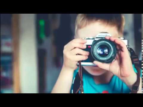 El secreto de la mariposa