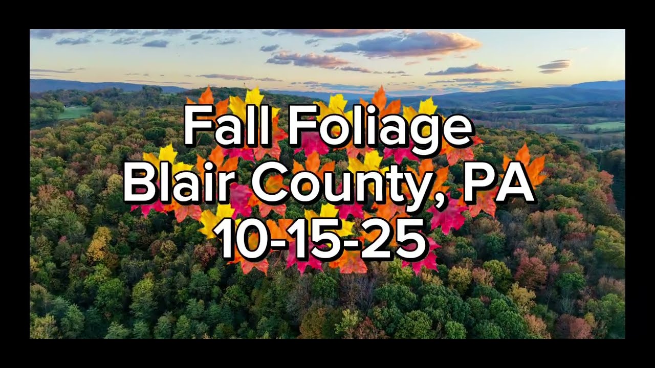 Breathtaking Fall Foliage from Above | Vibrant Autumn Colors in 4K ...