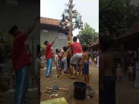 Panjat pinang celana merosot 2021