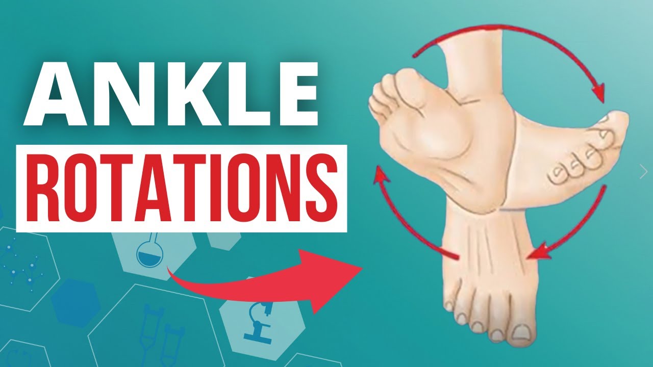 Ankle Rotations Exercise | Seated Ankle Rotation Chair Exercise | East ...