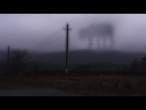 Fog Fog And More Fog (Giant) | Download | Dc2 animation - YouTube