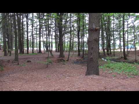 ALGONQUIN PROVINCIAL PARK - Achray Campground - Sept. 8, 2020 - YouTube