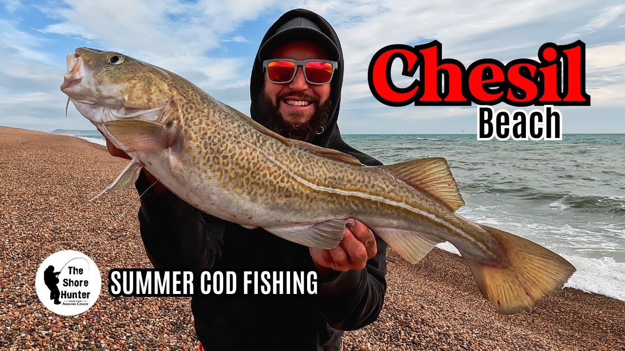 COD Fishing, UK Beach, Chesil Beach. The Shore Hunter, Wayne Hand ...