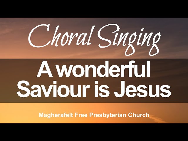 Wonderful Saviour Quotes