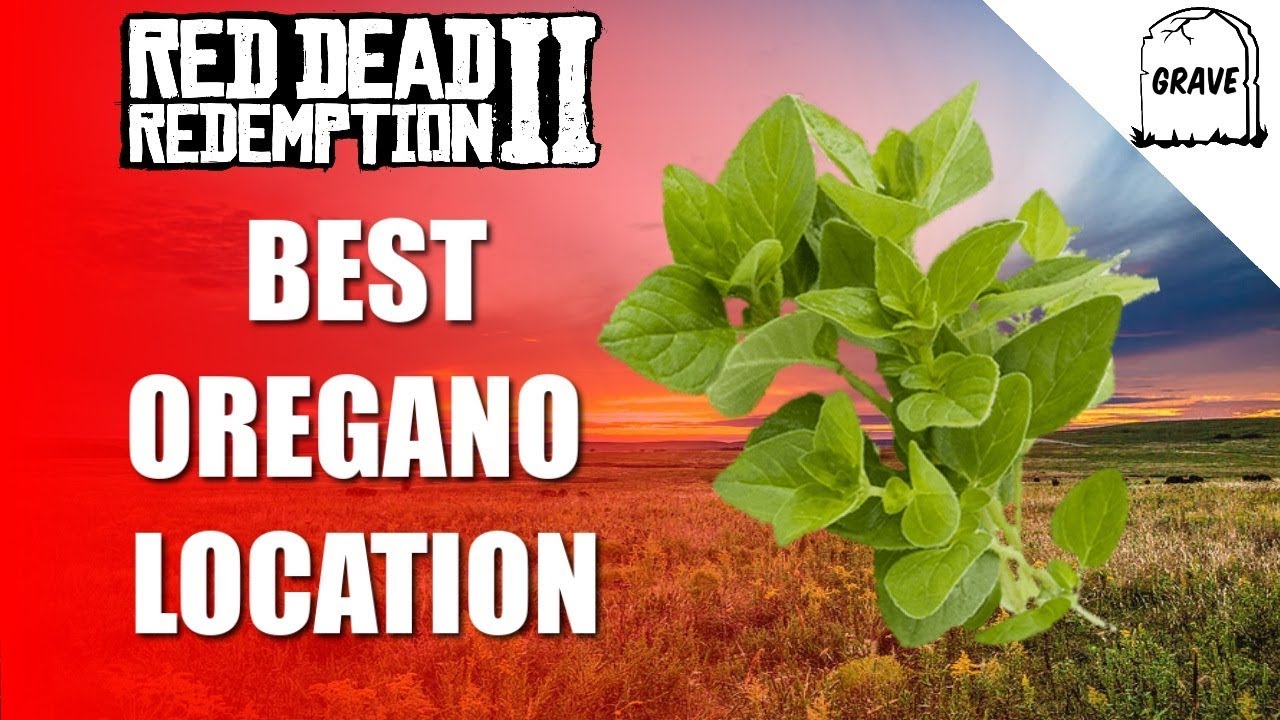 Oregano Location Red Dead Online | Daily Challenge RDR2 - YouTube