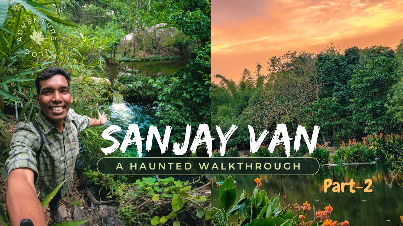 What's Hiding in Sanjay Van? Explore the Unseen - YouTube