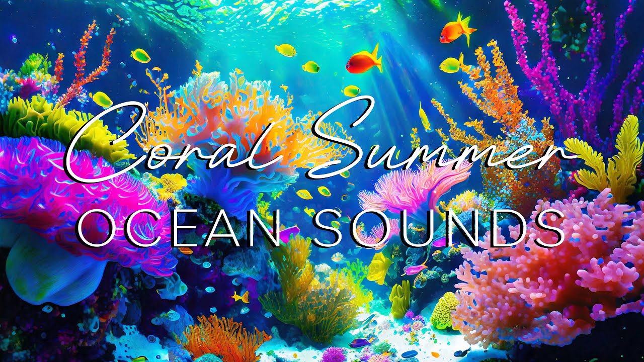 Soothing Coral Reef Ocean Sounds with Sonar in the Caribbean ASMR ...
