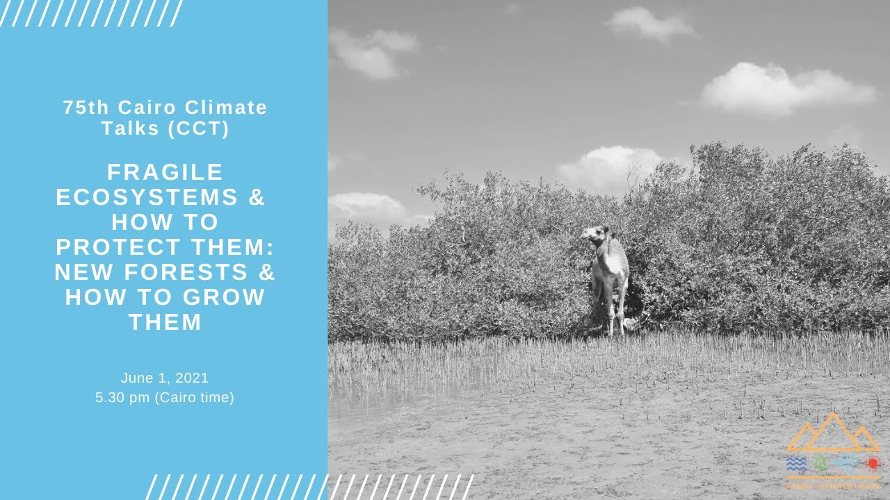 75th CCT on Fragile Ecosystems & How to Protect Them. New Forests & How ...