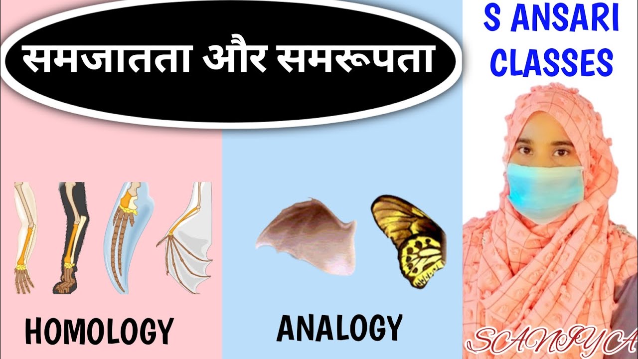 समजातता और समरूपता। HOMOLOGY AND ANALOGY. जीव विज्ञान हिन्दी माध्यम. S ...