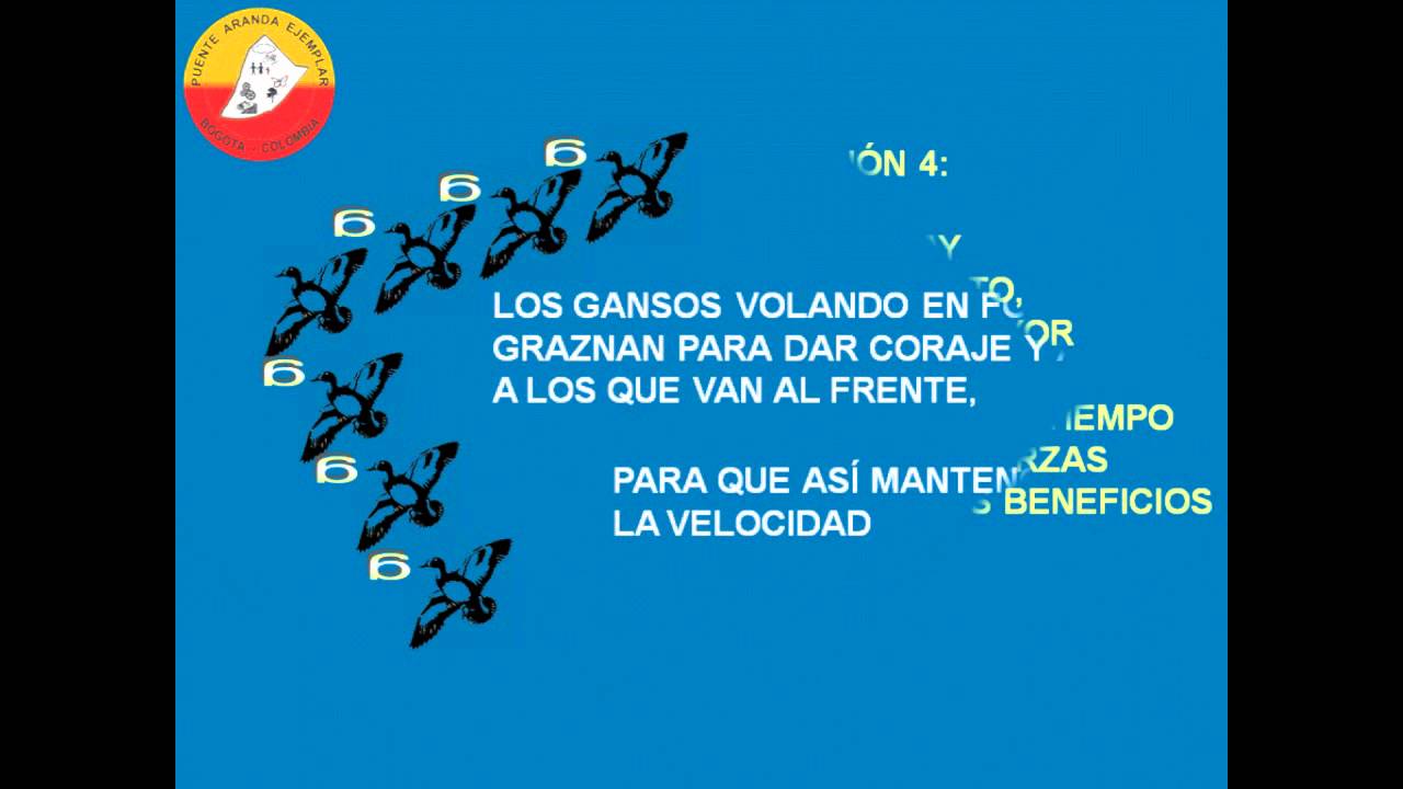 VUELO DE GANSOS.wmv - YouTube