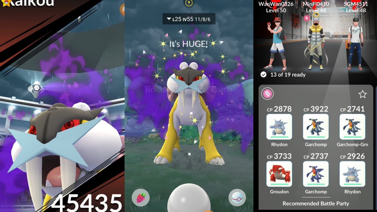 shadow huge Raikou legendary Pokemon raid in Pokemon go #pokemon # ...