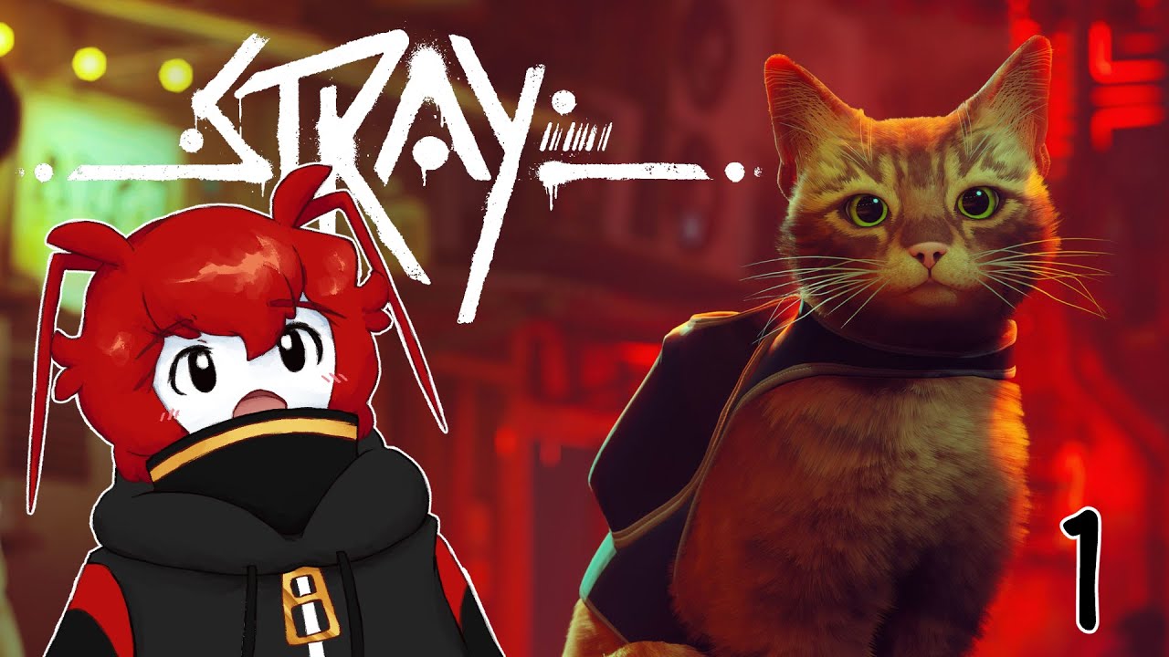 Stray [Part 1 of 2] || Macrackle VOD (07/20/2022) - YouTube