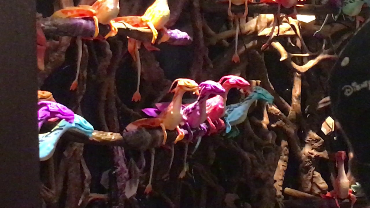 The Banshee Rookery - Pandora - Animal Kingdom - YouTube