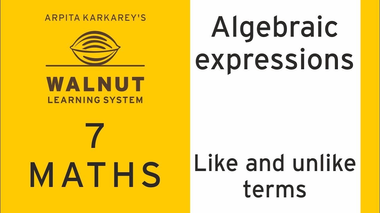 7 Math Algebraic Expressions Like And Unlike Terms YouTube 7-math-algebraic-expressions-like-and-unlike-terms-youtube