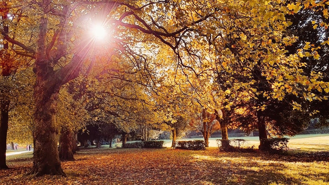 Sefton Park Autumn - YouTube