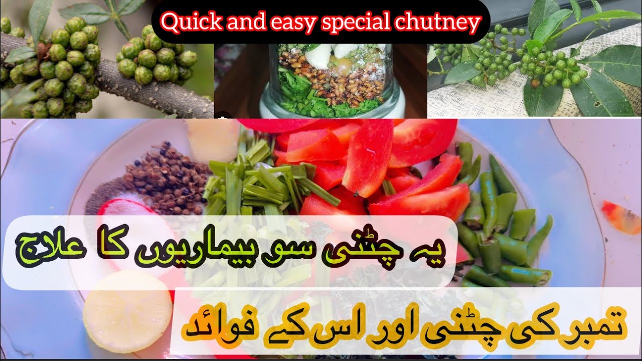 Timber ki Special chutney 🤤🫚🍋😋🌶️ how to make TIMBER ki Chutney 👆 By ...