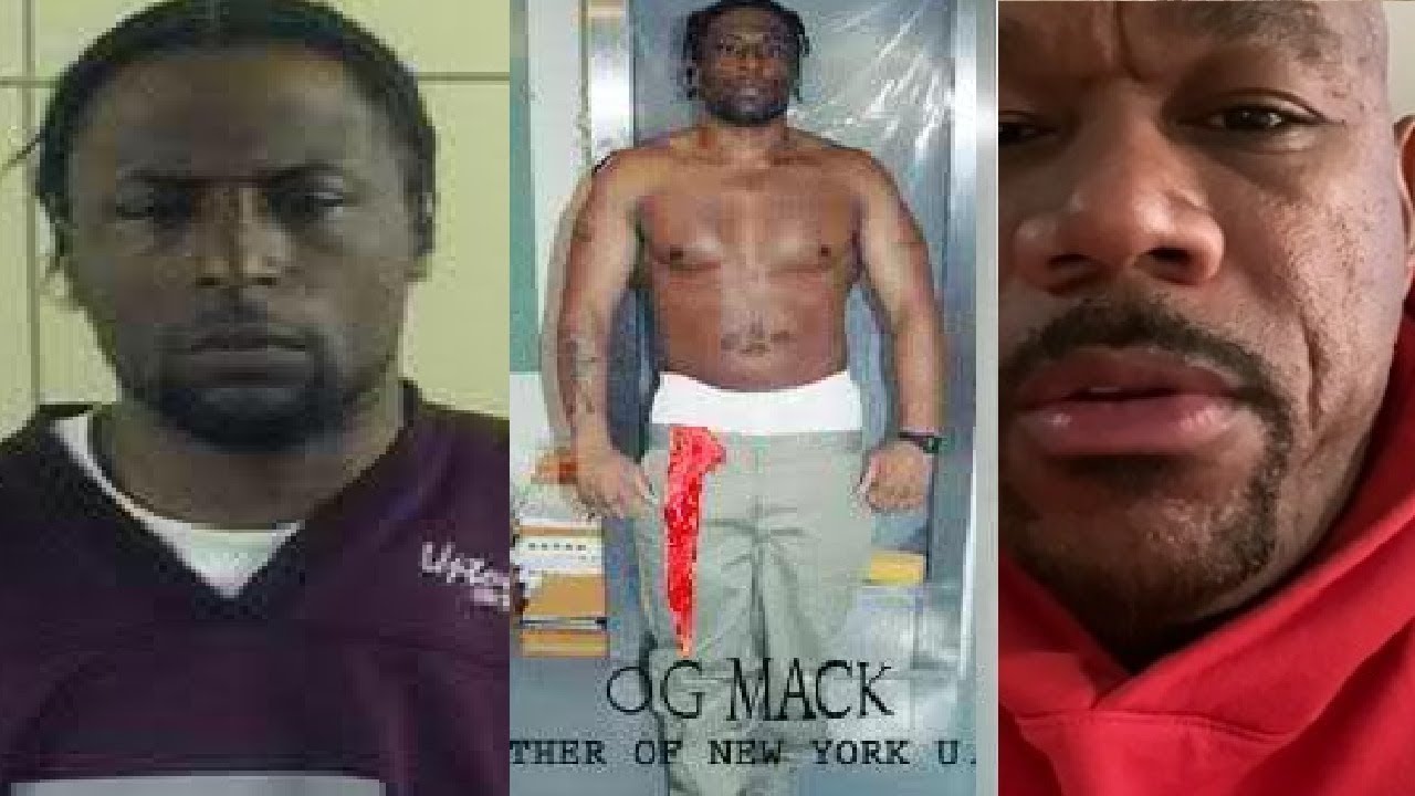 WACK 100 PULLS UP ON NYC GOONS OVER OG MACK STARTING THE BLOODS! THING ...