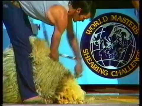 World Masters Shearing Challenge - YouTube