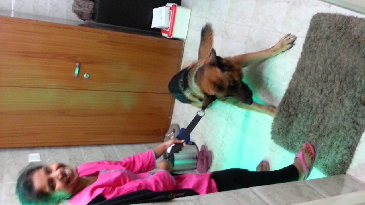 Shampoo time for Spike - YouTube