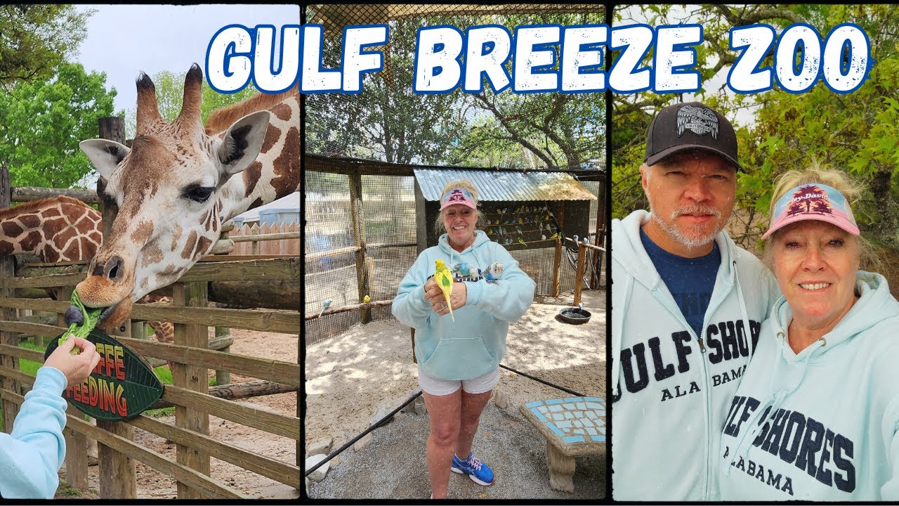 Gulf Breeze Zoo Tour & Review - Gulf Breeze, Florida - YouTube