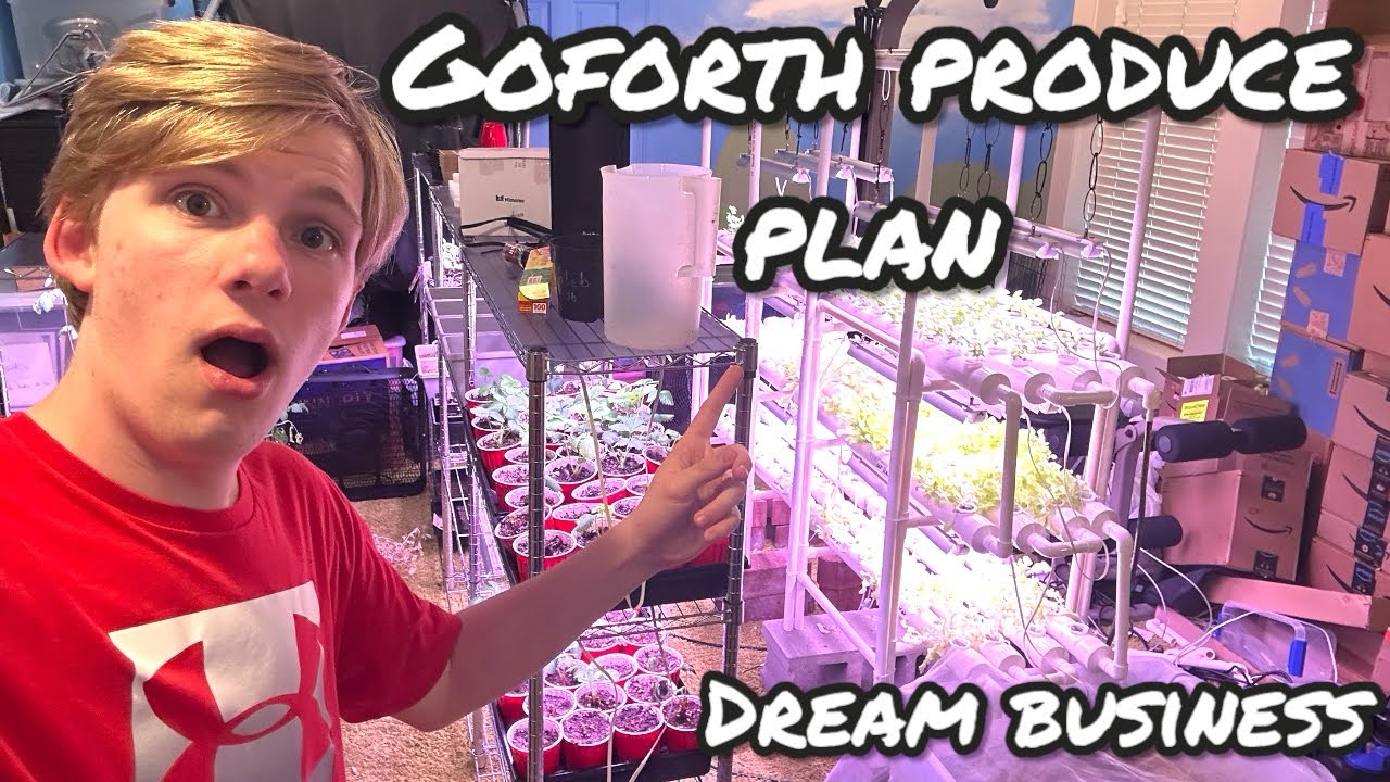 My dream business plan - YouTube