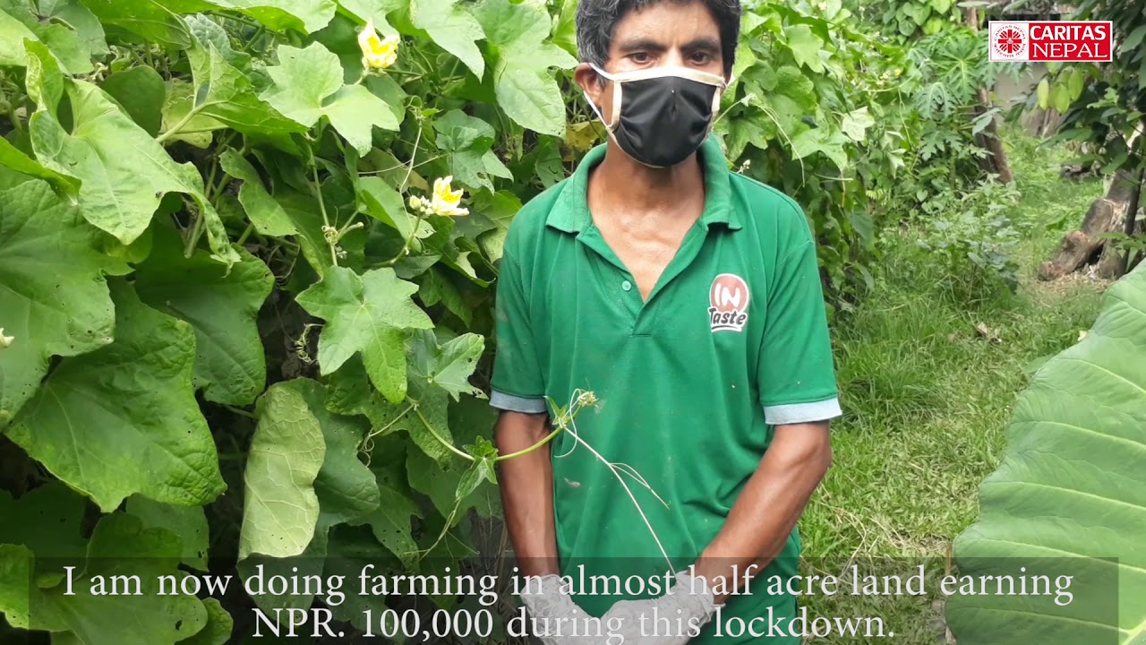 Farmer shares experience after adapting IPM practice - YouTube