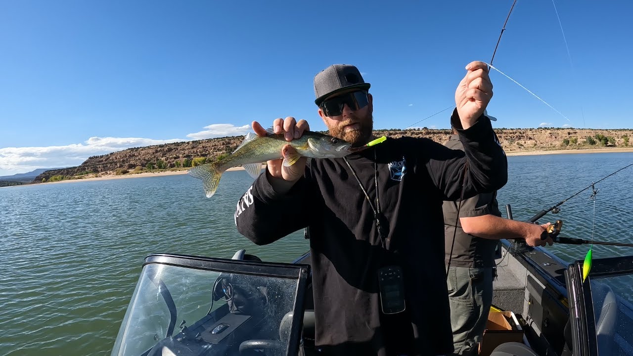 Bottom Bouncing Walleye & Perch - YouTube