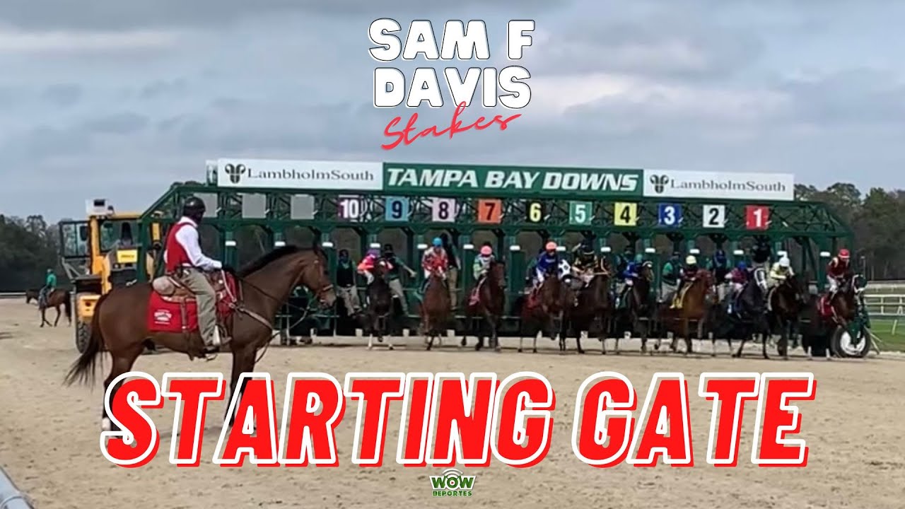 Sam F. Davis en Tampa Bay Downs - Análisis EN VIVO - YouTube