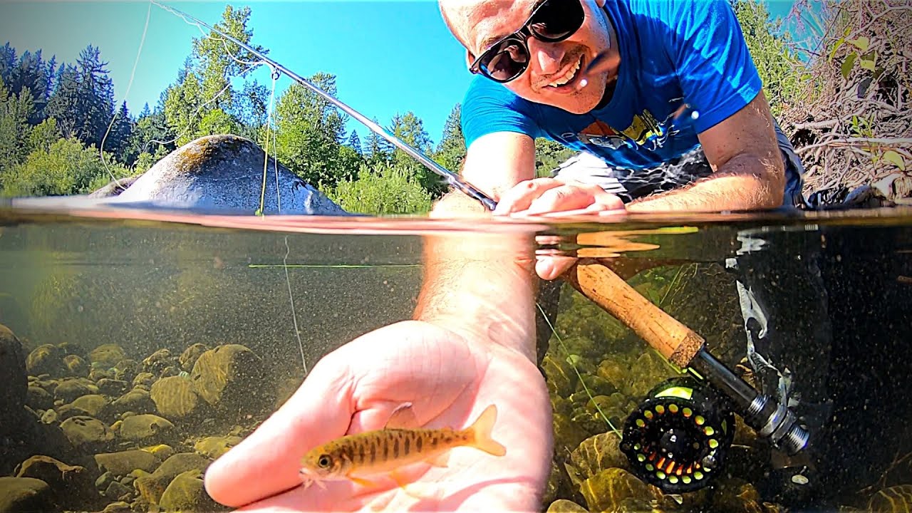 MICRO Trout Fishing!!! (AquaView) | 4K - YouTube
