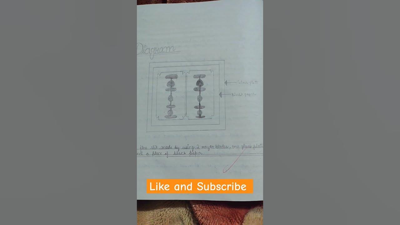 Physics Activity - To Observe diffraction of light due to a thin slit ...