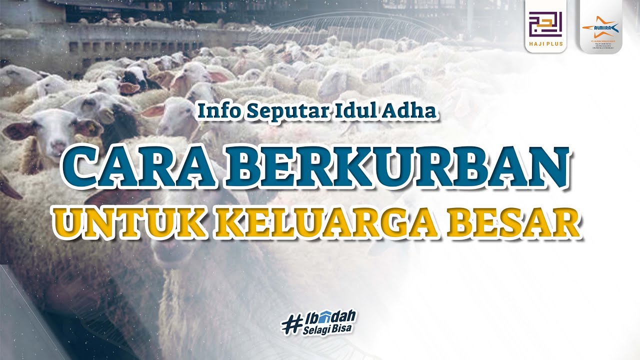 Cara Berkurban Untuk Keluarga Besar | Info Seputar Idul Adha - YouTube