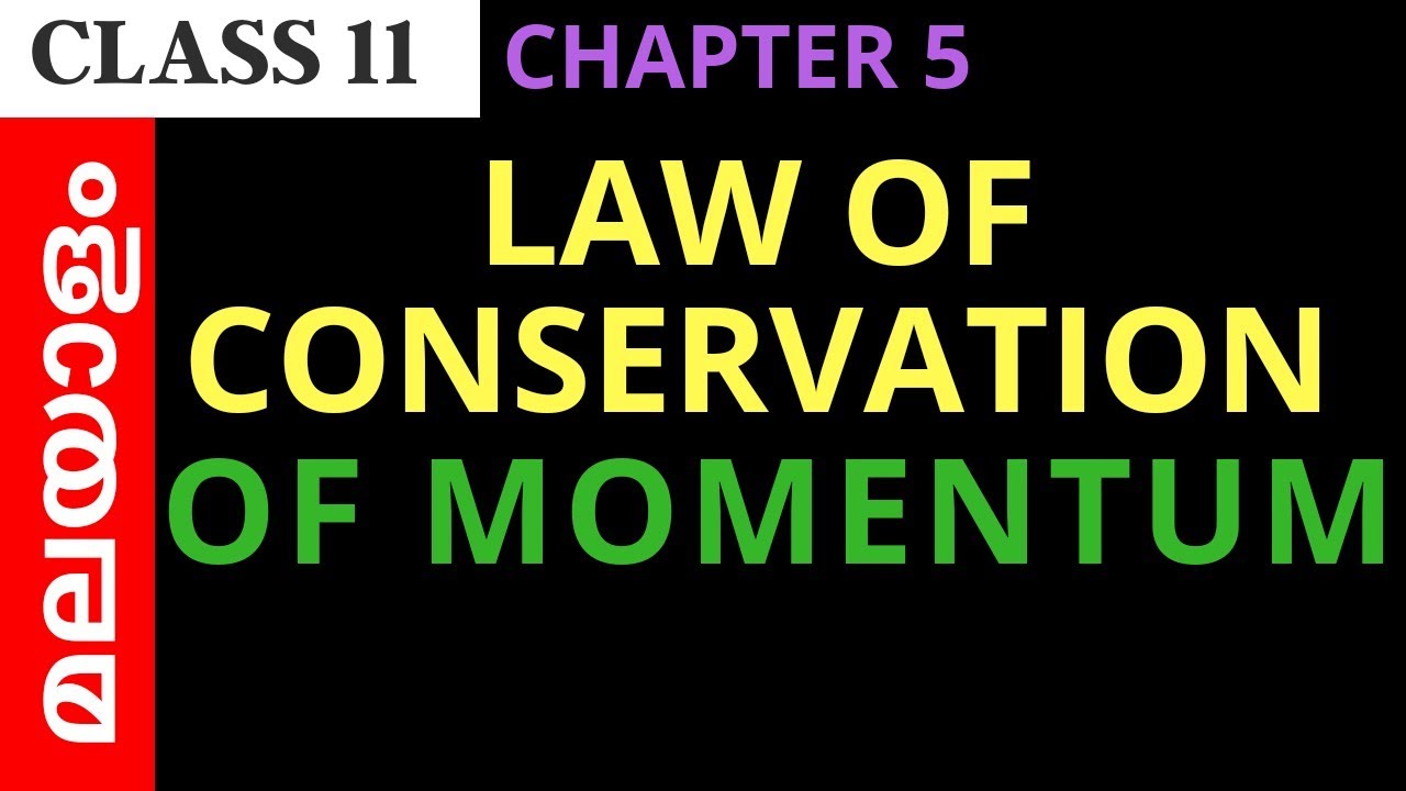 Laws of Motion | Part 4 | Law of Conservation of Momentum | Class 11 ...