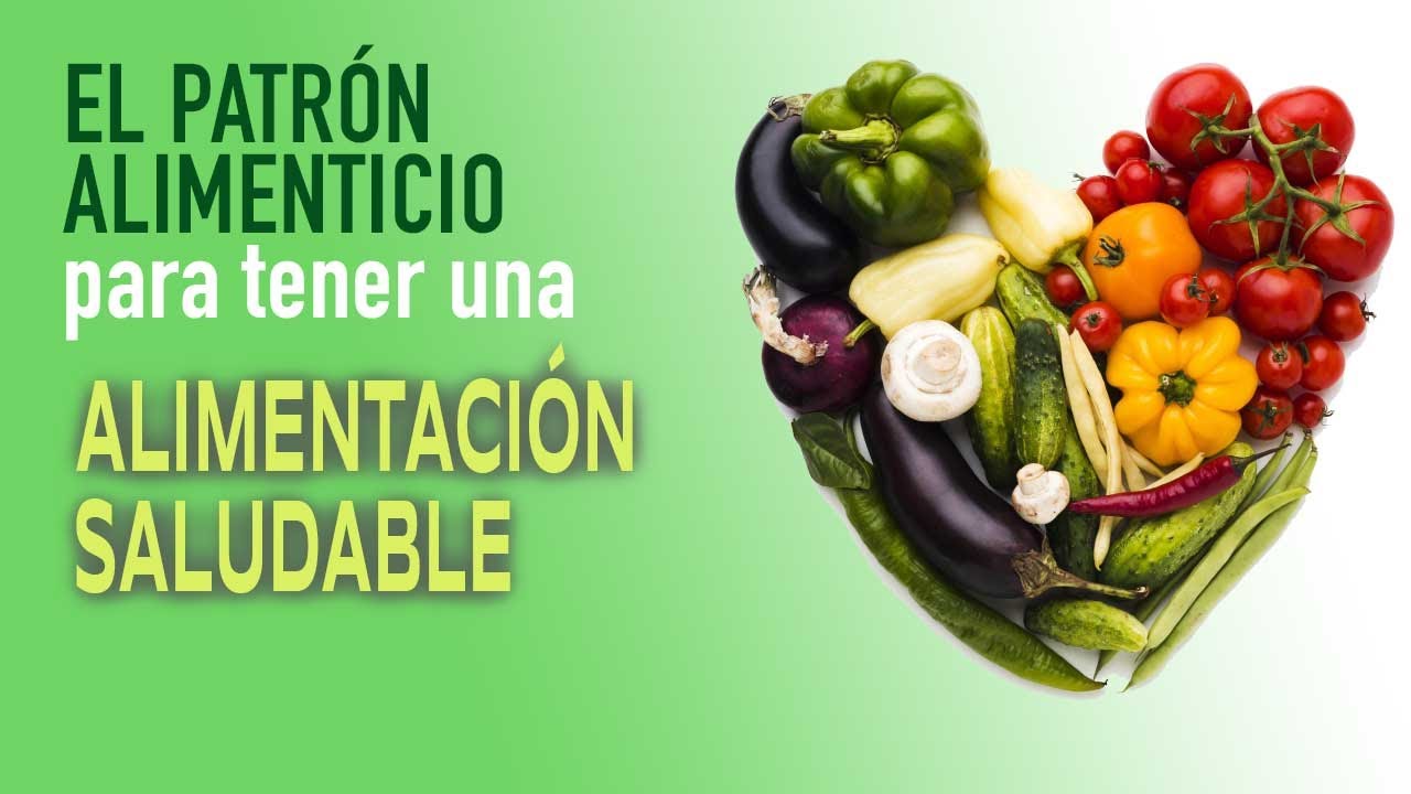 ¿Cual es el patrón alimenticio para tener alimentación saludable? - YouTube