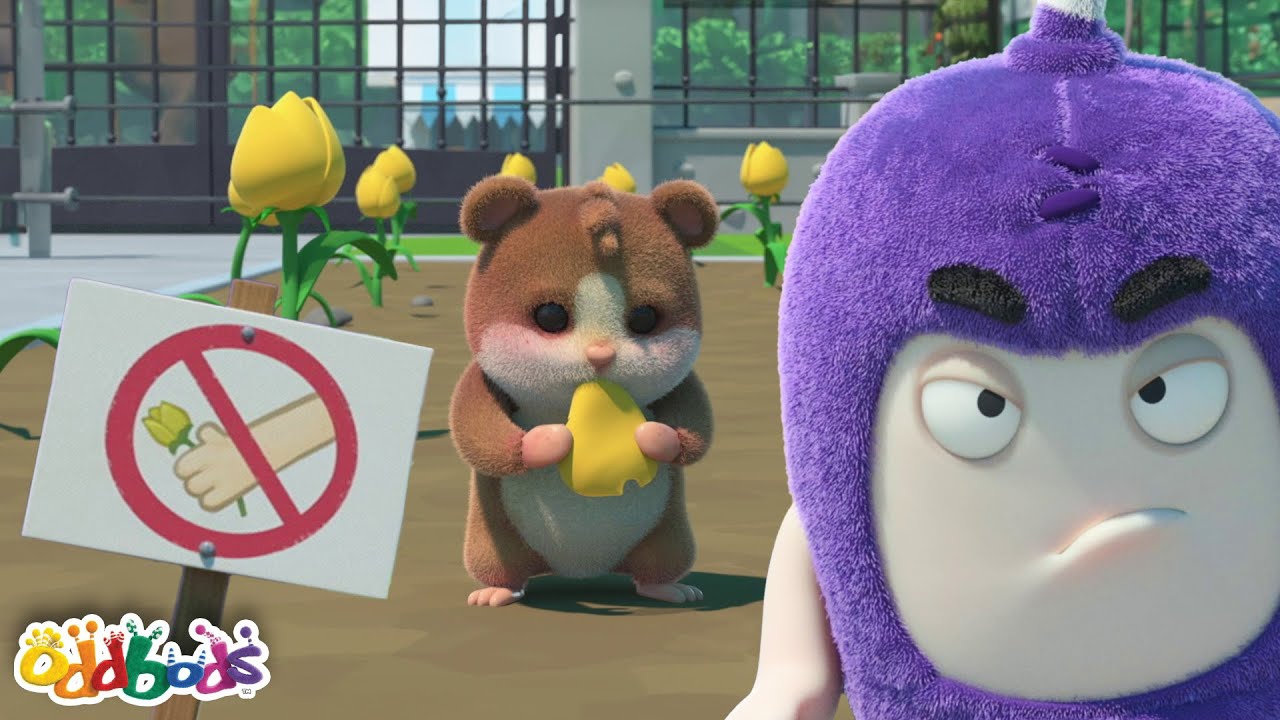 Pesky Pet or Pest? | OddBods | Science and Nature Cartoons For Kids ...