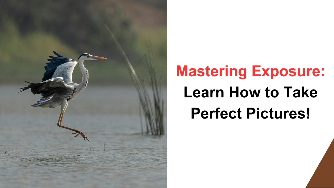 Mastering Exposure: Learn How to Take Perfect Pictures! - YouTube