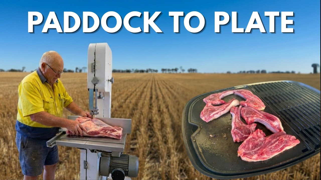 This is How We Feed Our Family on the Farm | Paddock to Plate Lamb ...