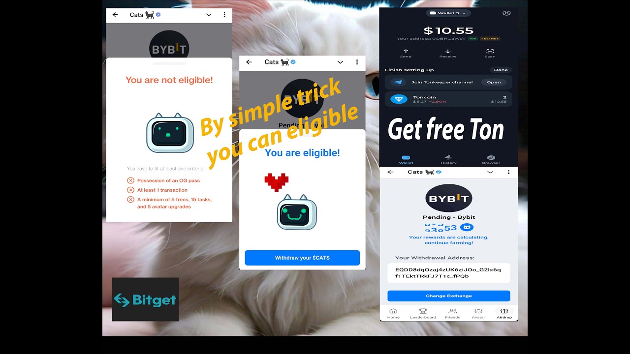 cats airdrop | How u can eligible for cat withdrawal issue resolved ...