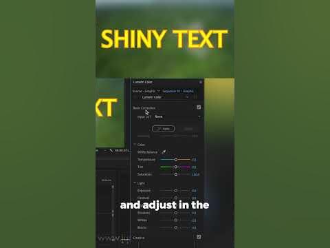 How to Create a Shiny Intro Text Animation in Adobe Premiere Pro - YouTube